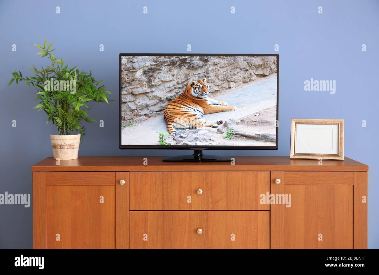 Normal Living Room With Tv