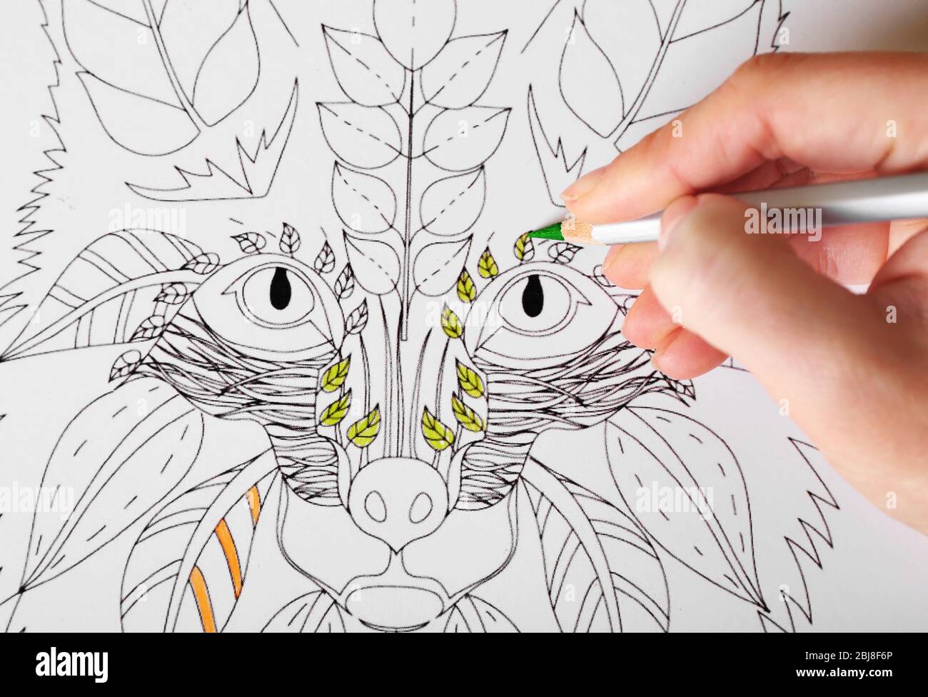 Female hand drawing with crayon in adult anti stress coloring closeup ...