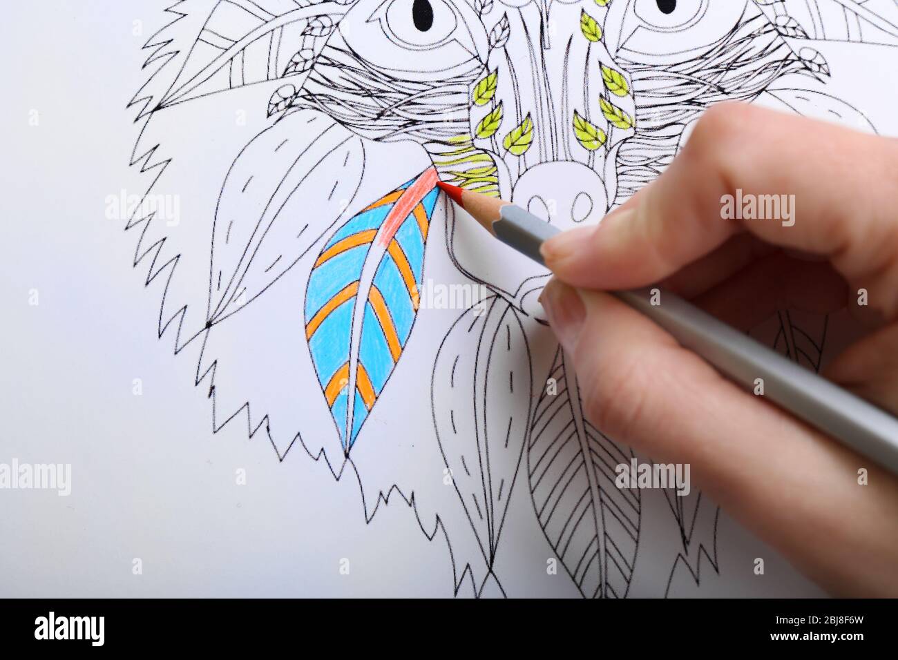Female hand drawing with crayon in adult anti stress coloring closeup ...