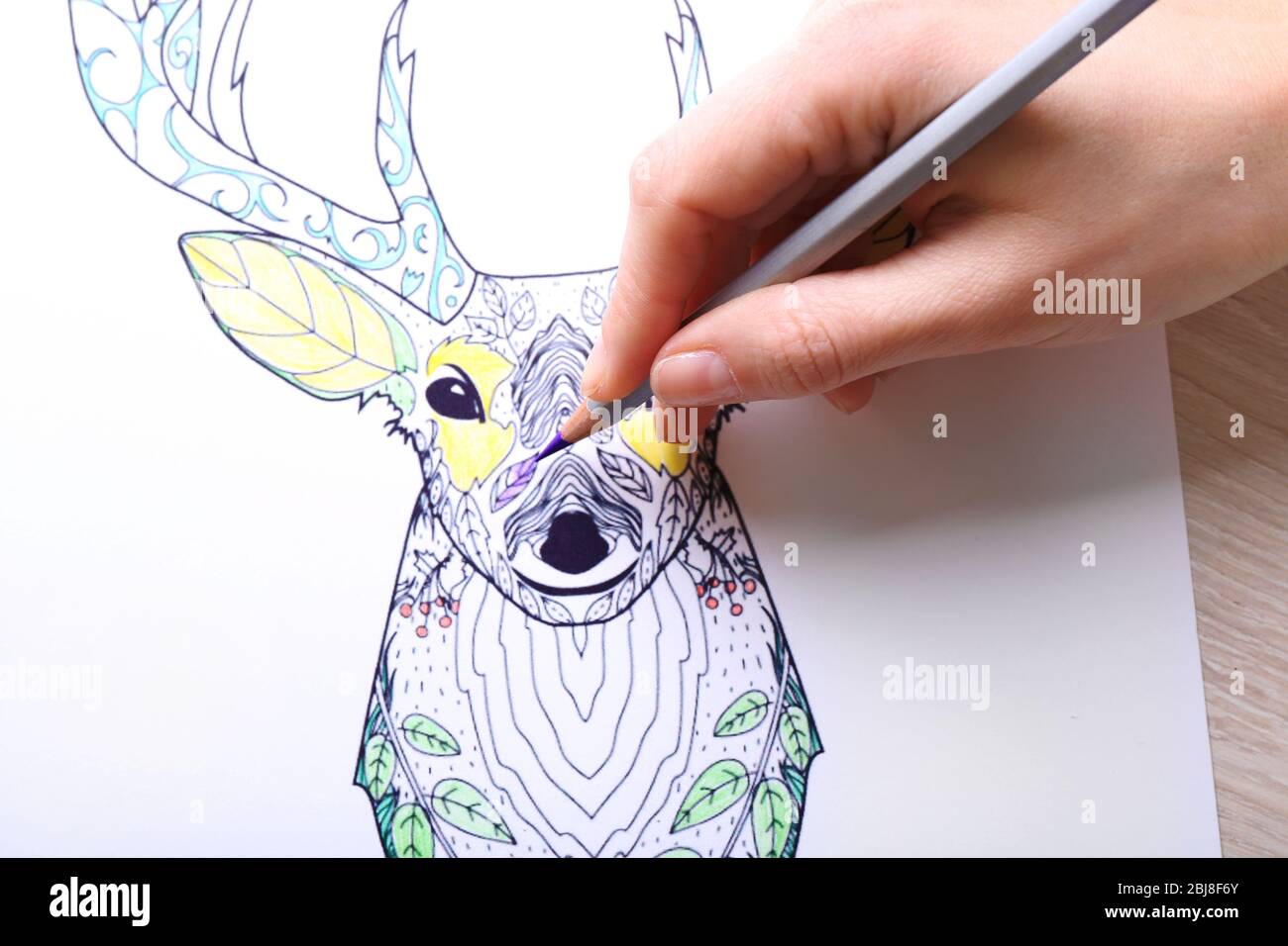 Female hand drawing with crayon in adult anti stress coloring closeup ...