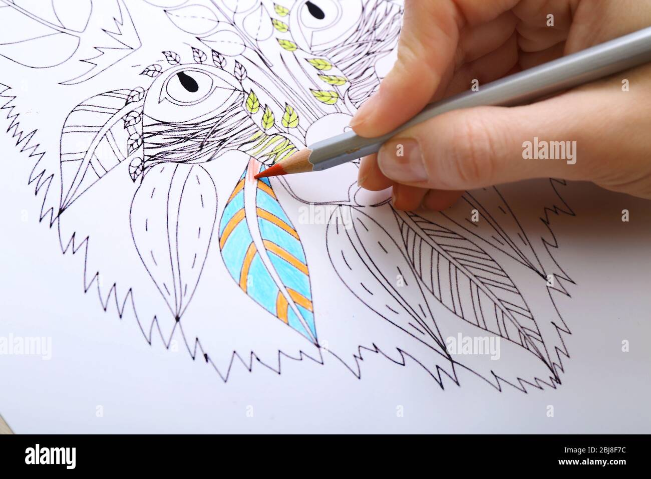 Female hand drawing with crayon in adult anti stress coloring closeup ...