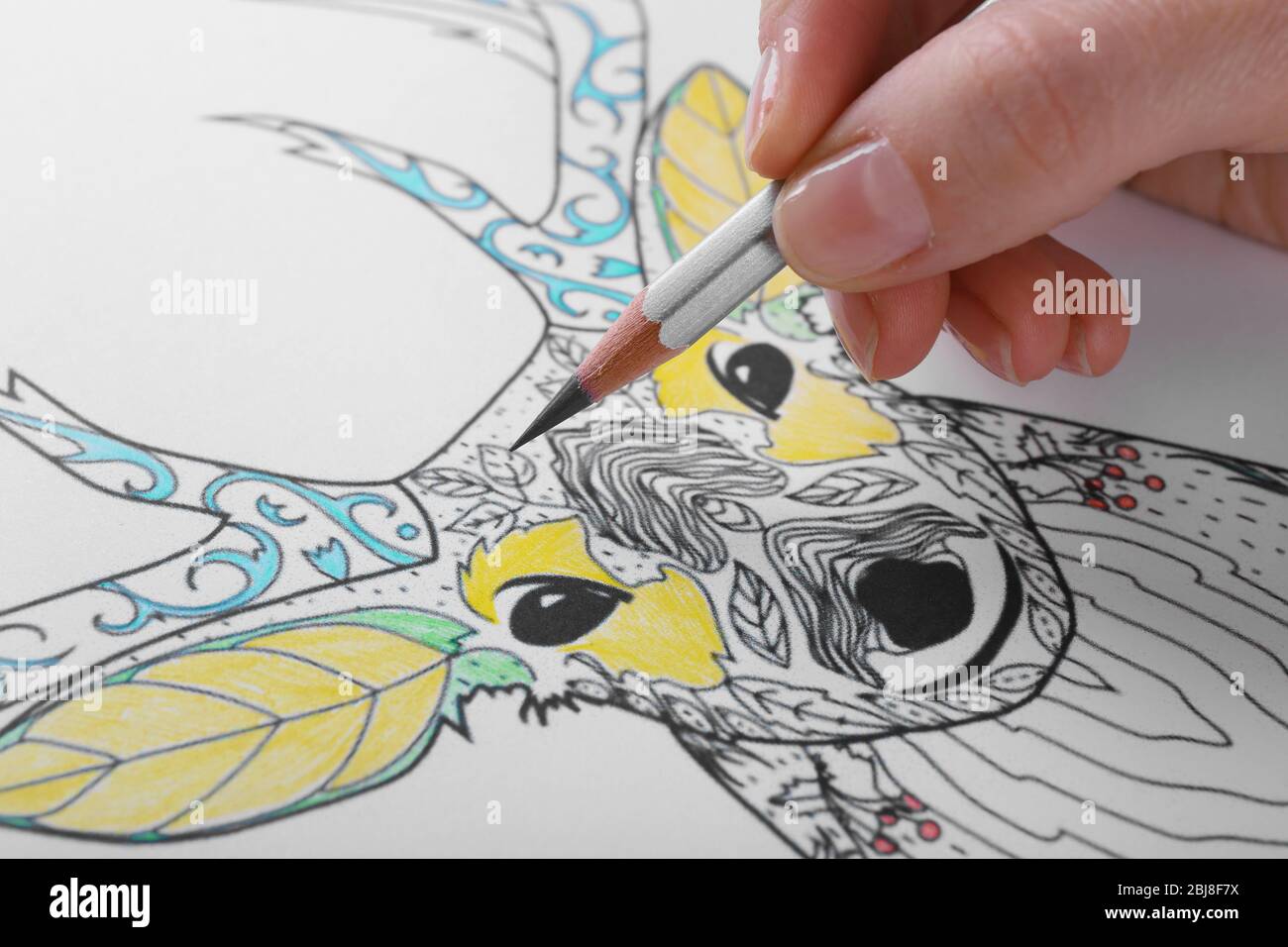 Female hand drawing with crayon in adult anti stress coloring closeup ...
