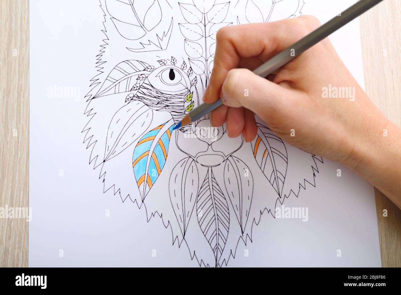 Female hand drawing with crayon in adult anti stress coloring closeup ...