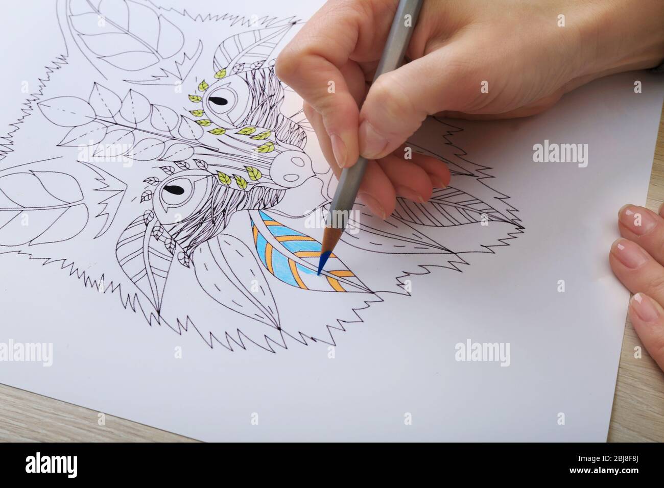 Female hand drawing with crayon in adult anti stress coloring closeup ...