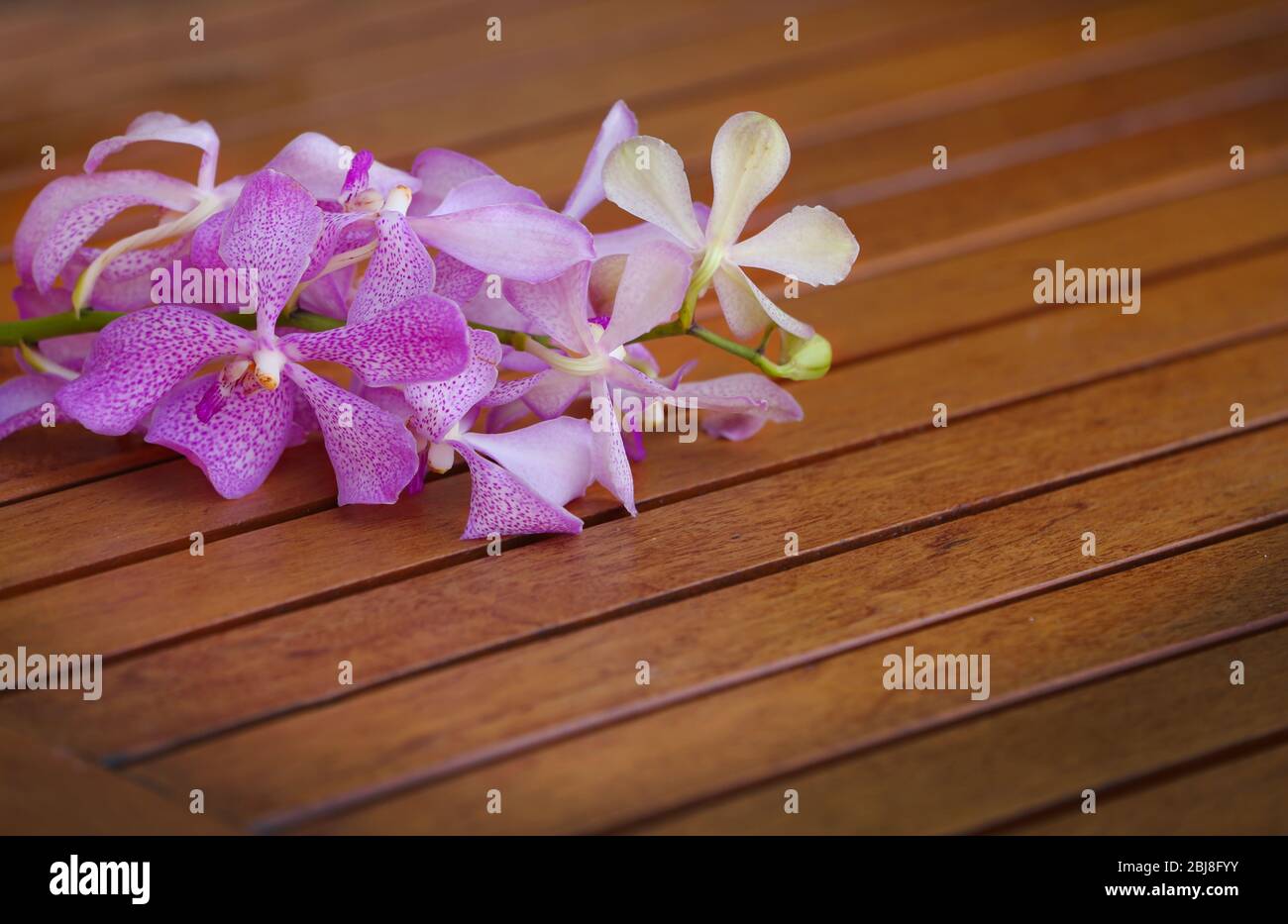 Tropical flower on wooden surface Stock Photo - Alamy