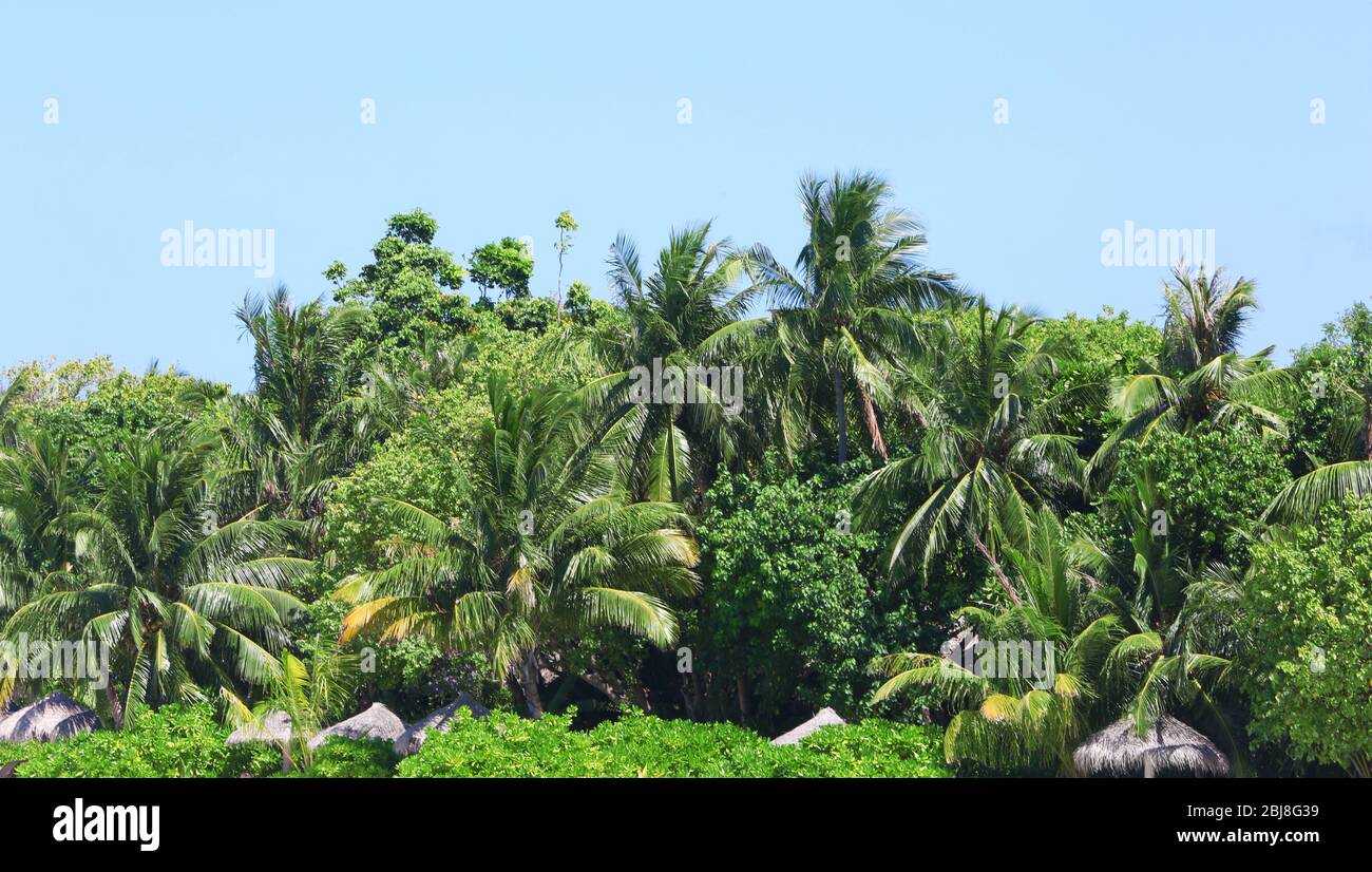 Island baros maldives indian ocean hi-res stock photography and images ...