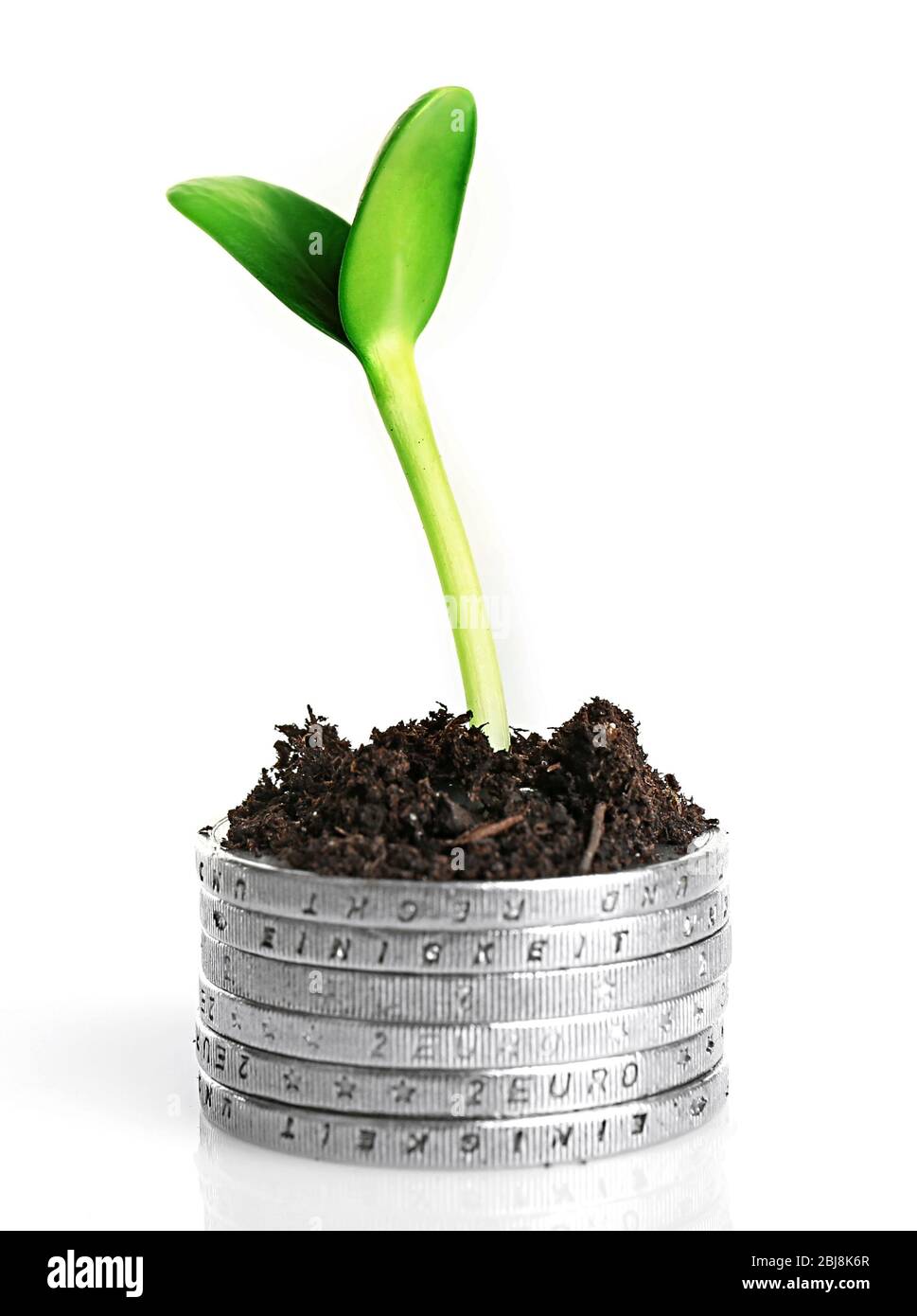 Coins in soil with young plant isolated on white Stock Photo - Alamy
