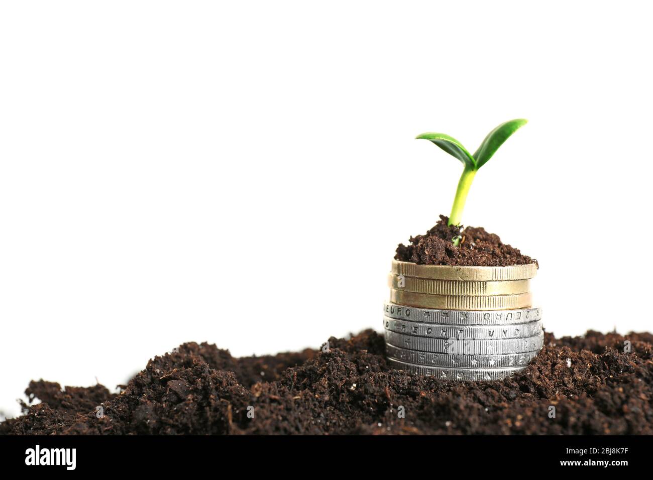 Coins in soil with young plant isolated on white Stock Photo - Alamy