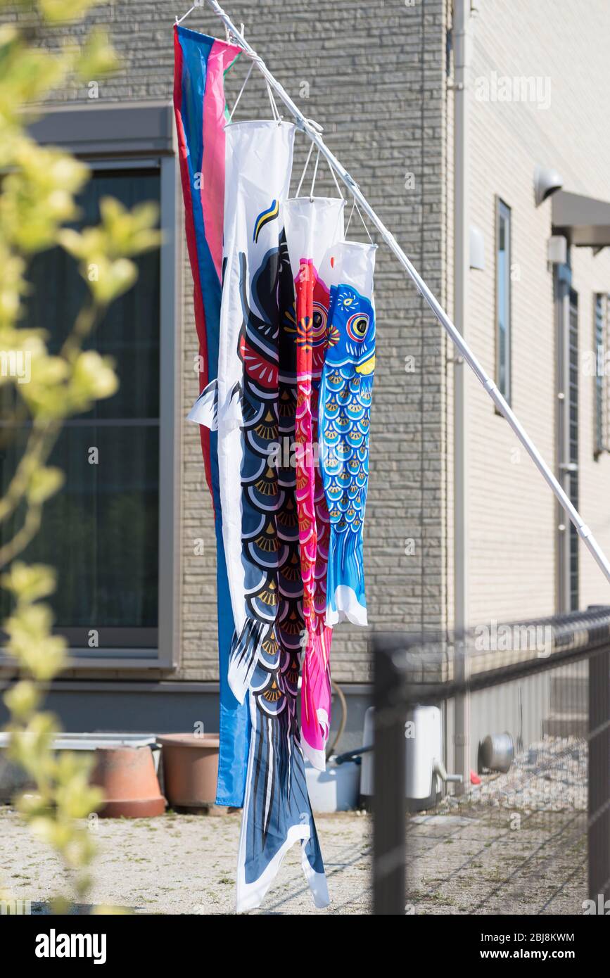 Banner of koinobori or carp are displayed outside a house in Japan to ...