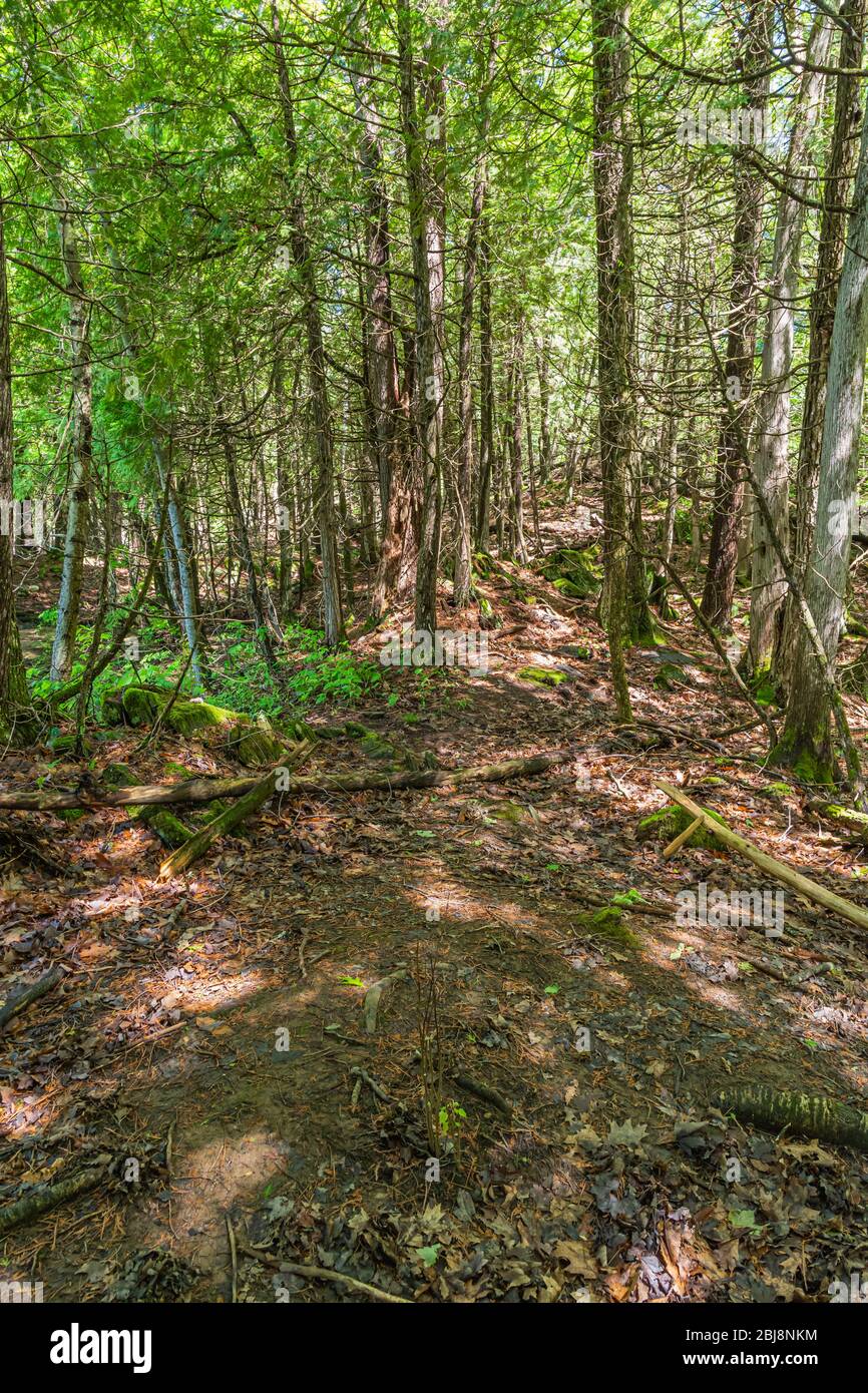 Cordova Falls Conservation Area Methuen Belmont Havelock Algonquin ...