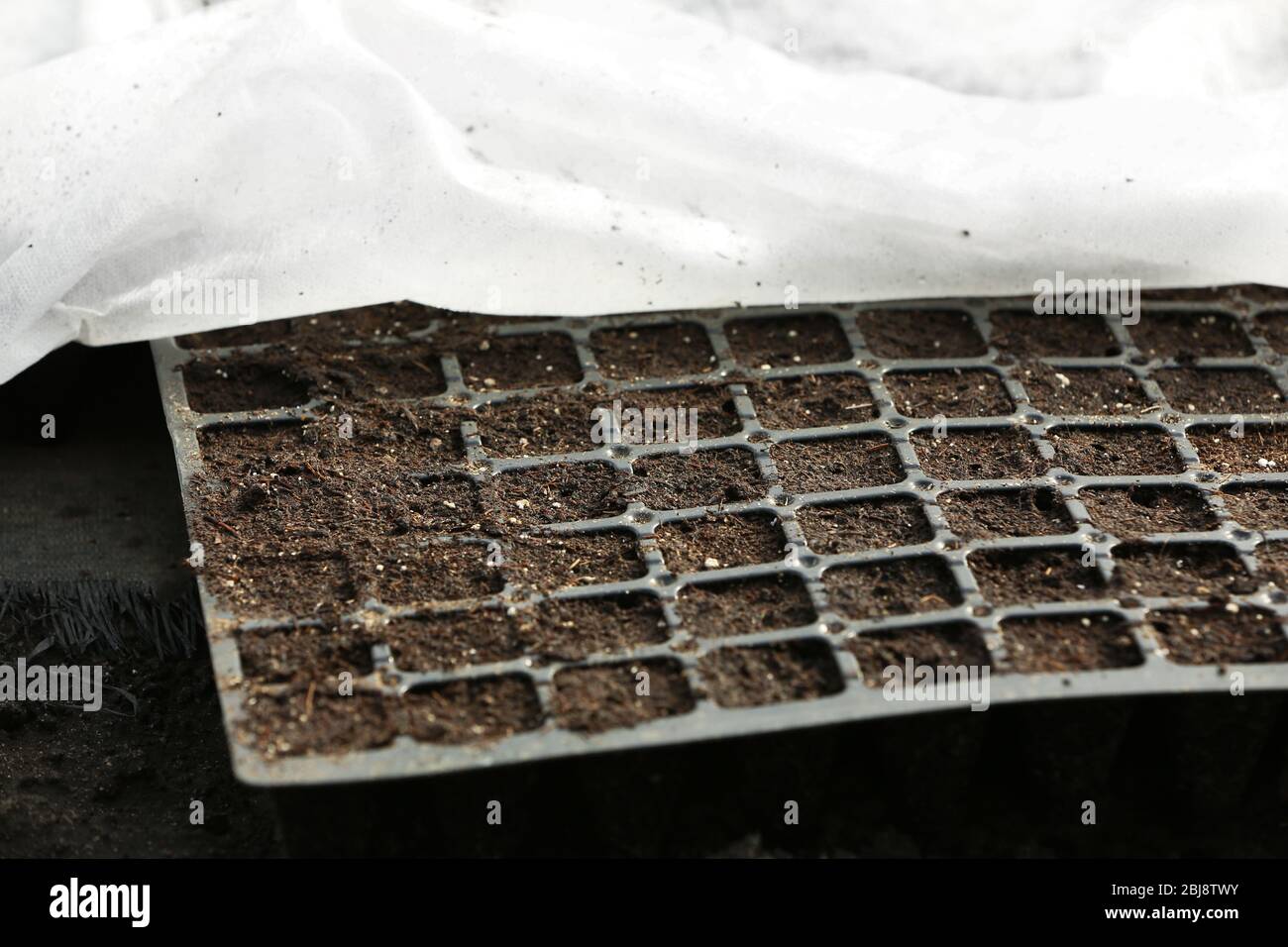 Tray of soil hi-res stock photography and images - Alamy