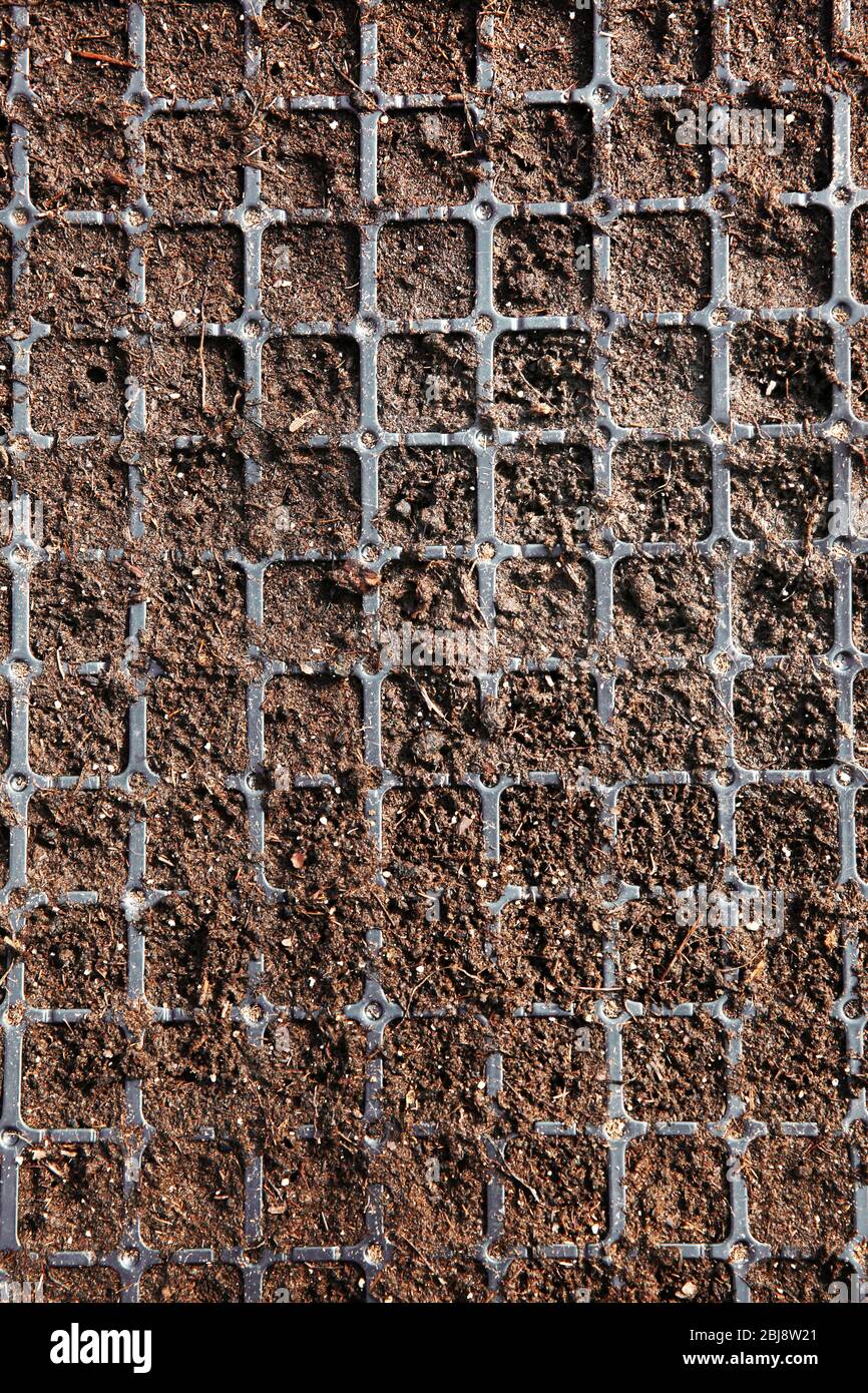 Tray of soil hi-res stock photography and images - Alamy