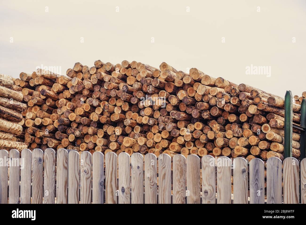 Chopped wood, woodpile, firewood - sawmill Stock Photo - Alamy