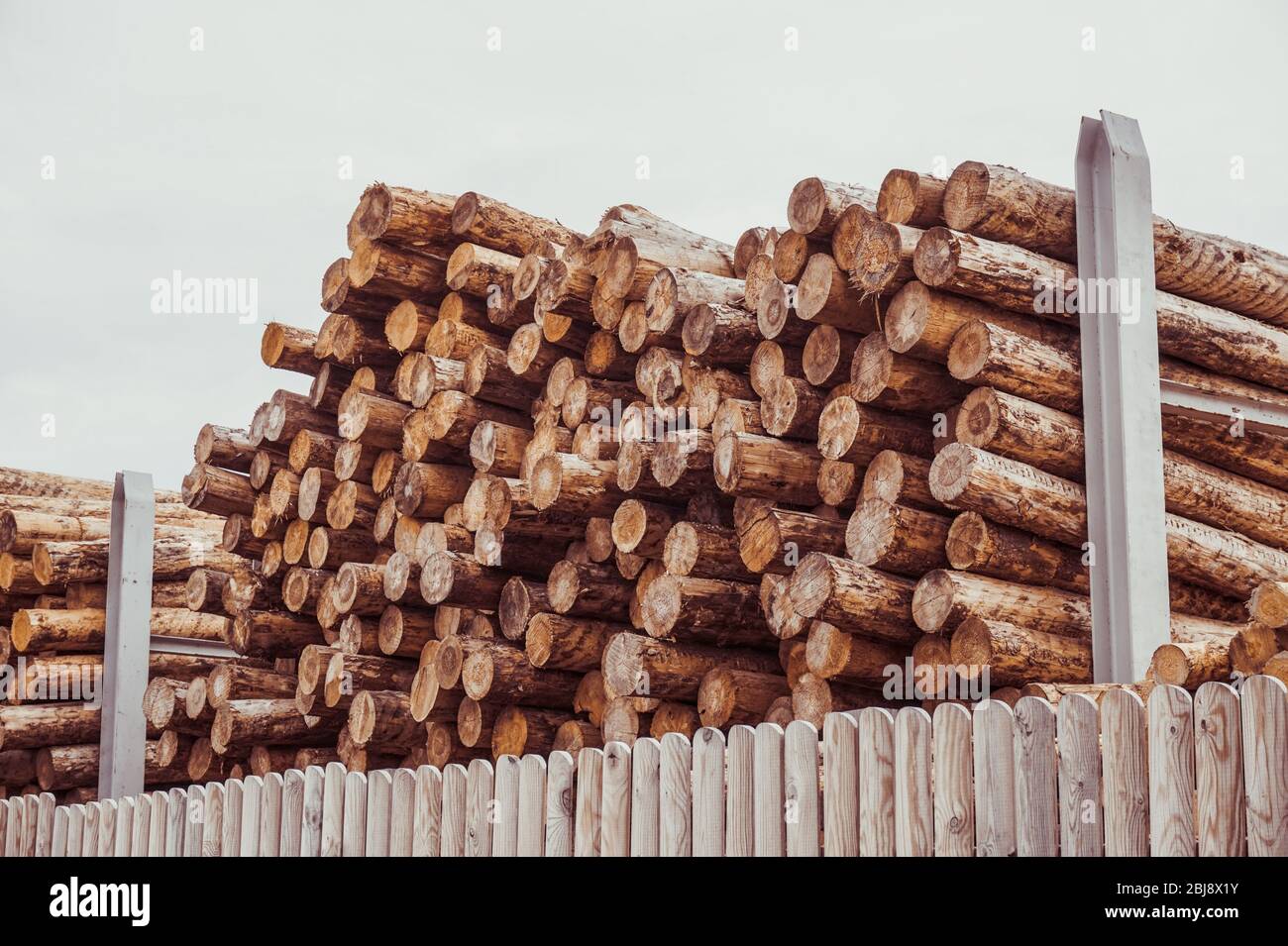 Chopped wood, woodpile, firewood - sawmill Stock Photo - Alamy
