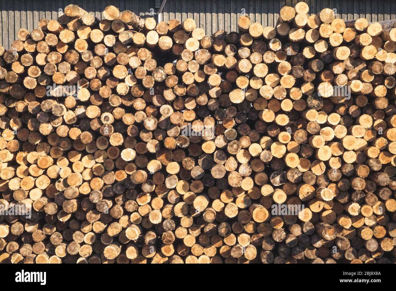 Chopped wood, woodpile, firewood - sawmill Stock Photo - Alamy