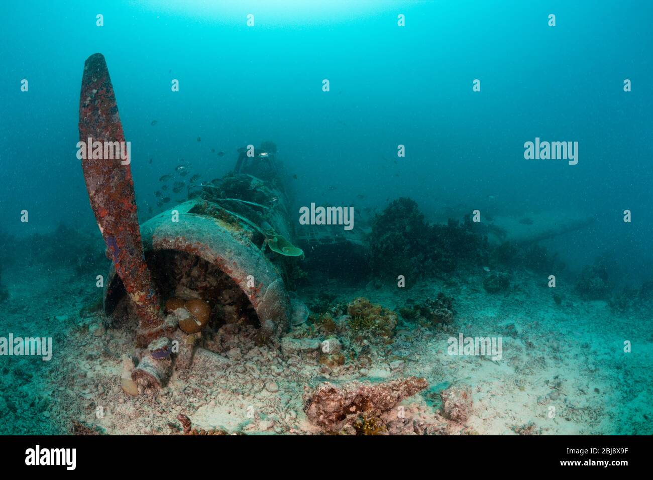 Japanese kate bomber wreck nakajima b5n hi-res stock photography and ...