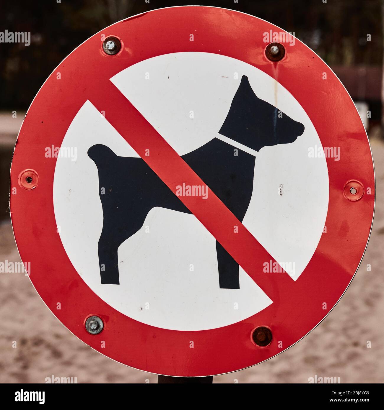 Dogs forbidden, sign with a crossed out pictogram of a dog as a sign ...