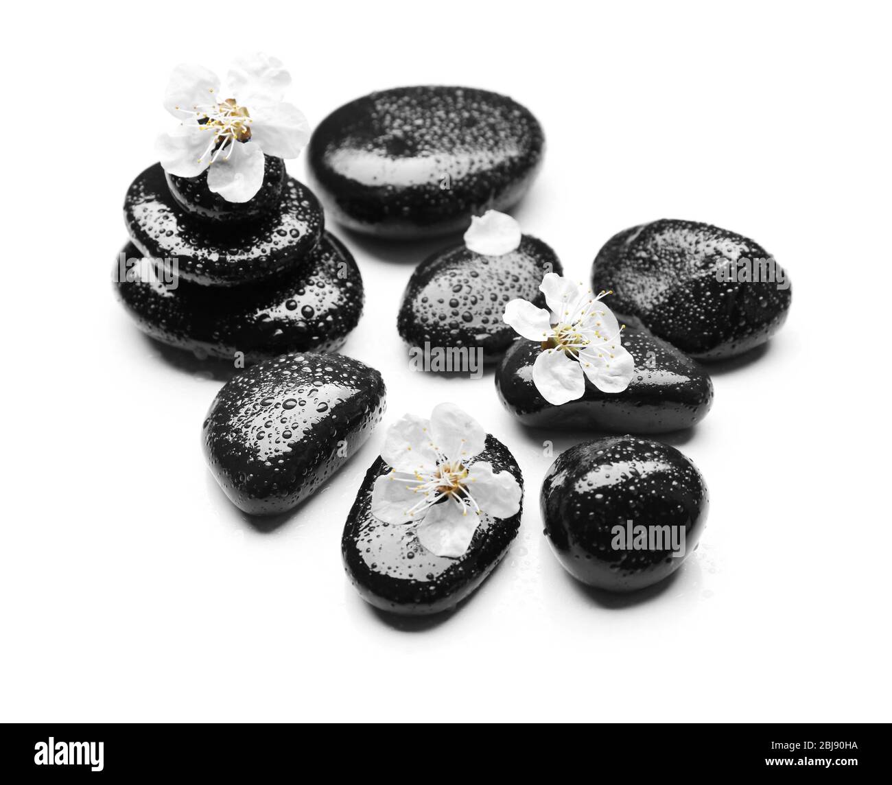 Spa stones with spring flowers on white background Stock Photo - Alamy