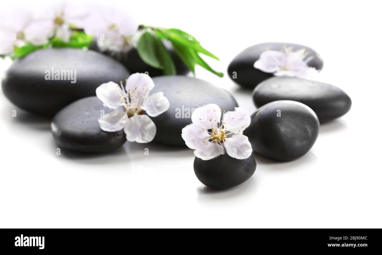 Spa stones with spring flowers on white background Stock Photo - Alamy
