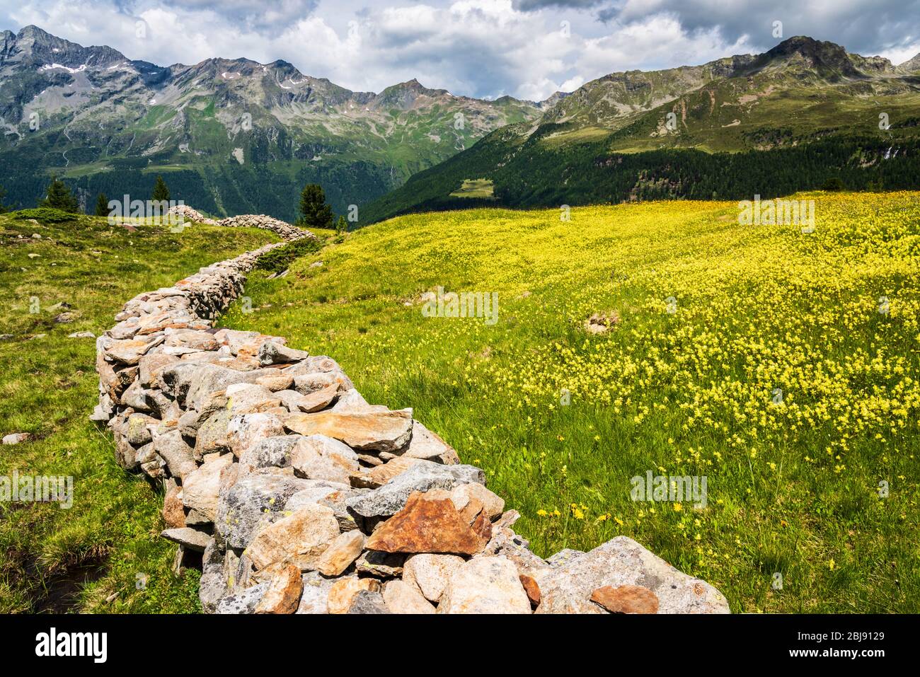 Castle of Tures and peaks of Selva dei Molini. Dream South Tyrol. Roma ...