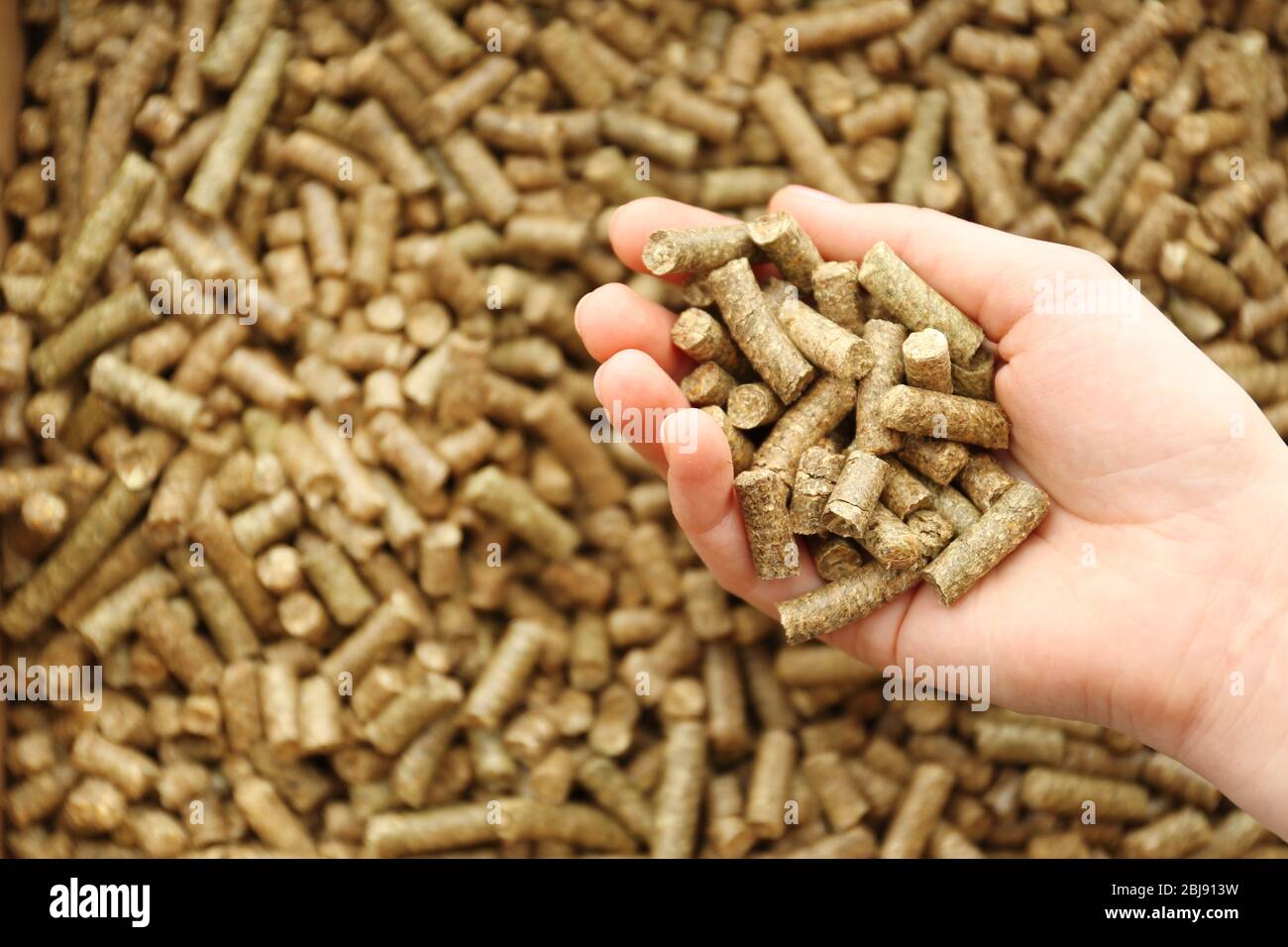 Human hand holding solid wooden pellets, closeup Stock Photo - Alamy