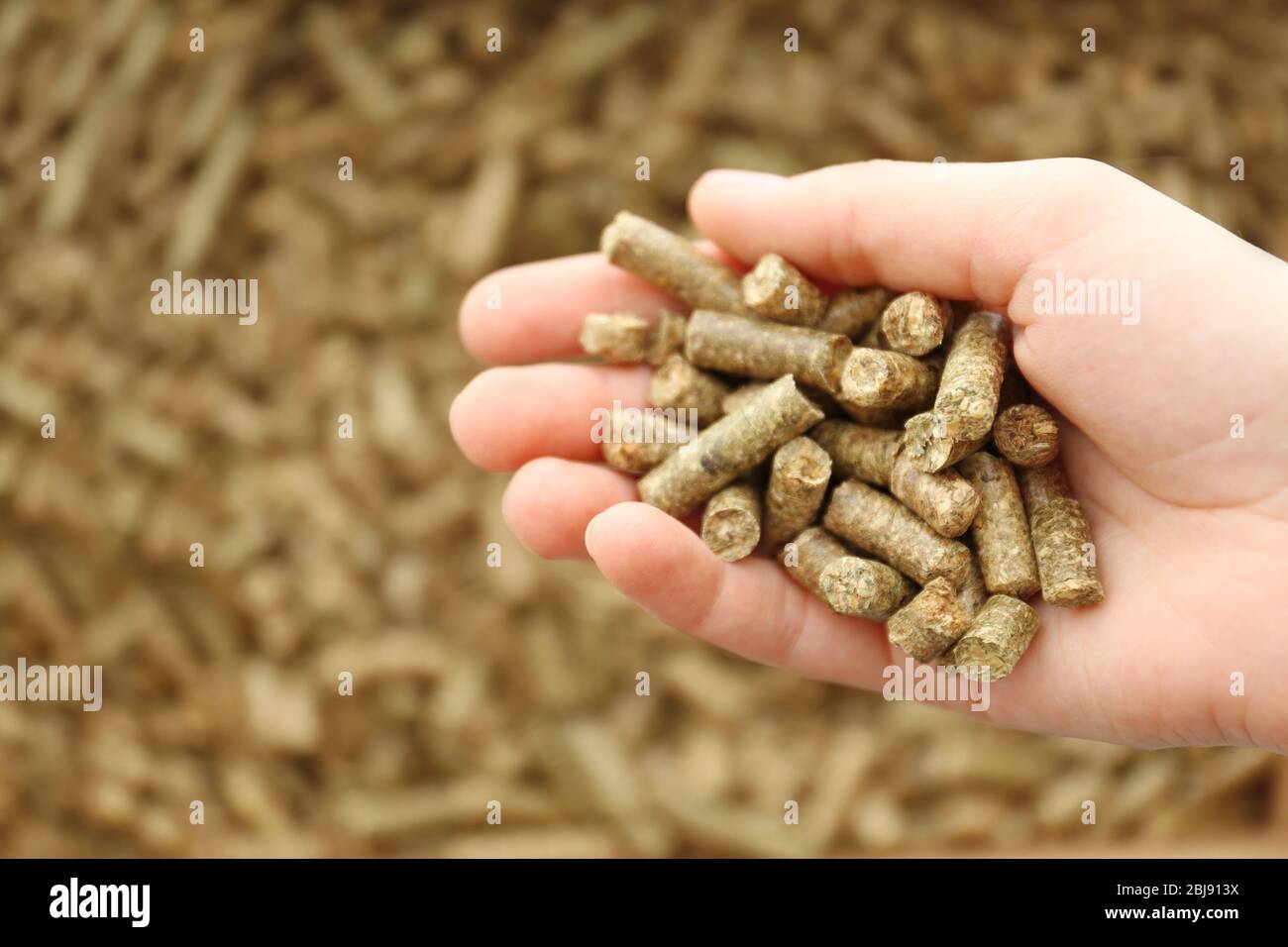 Human hand holding solid wooden pellets, closeup Stock Photo - Alamy