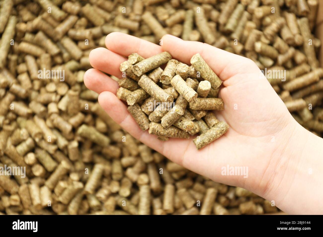 Human hand holding solid wooden pellets, closeup Stock Photo - Alamy
