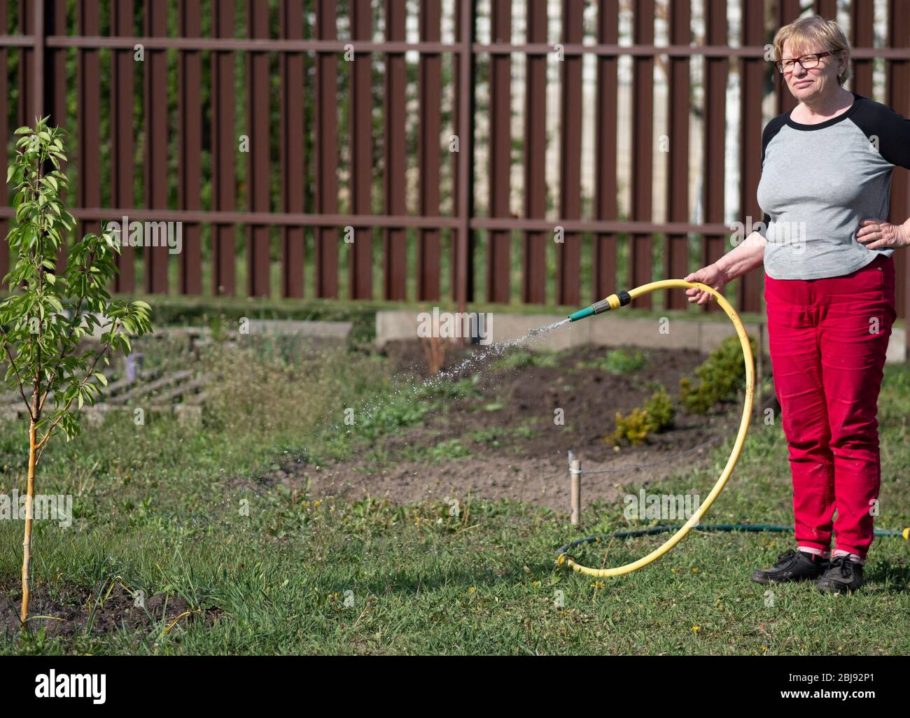 Watering the tree hi-res stock photography and images - Alamy