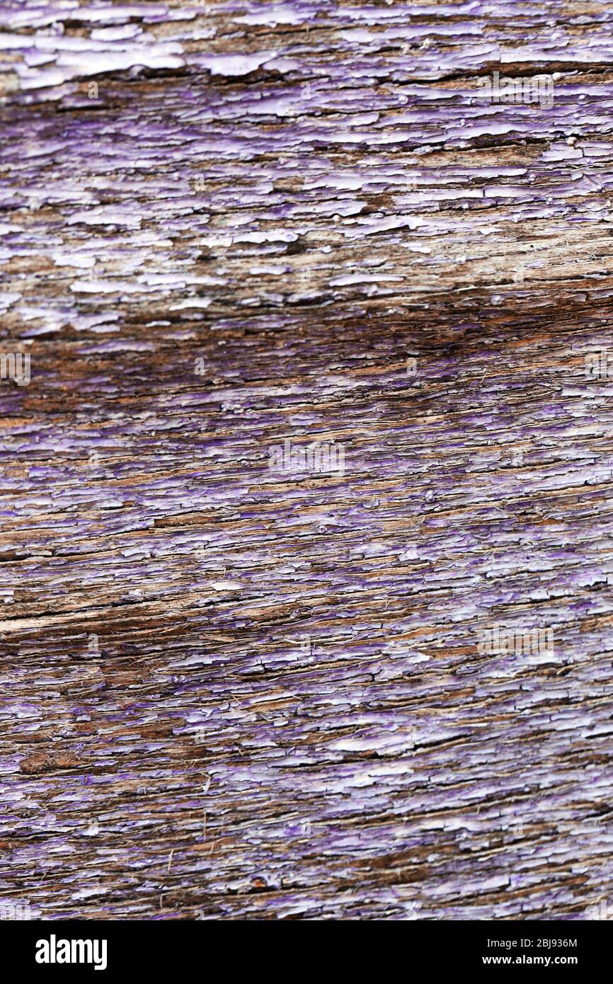 Wood tree texture background Stock Photo - Alamy