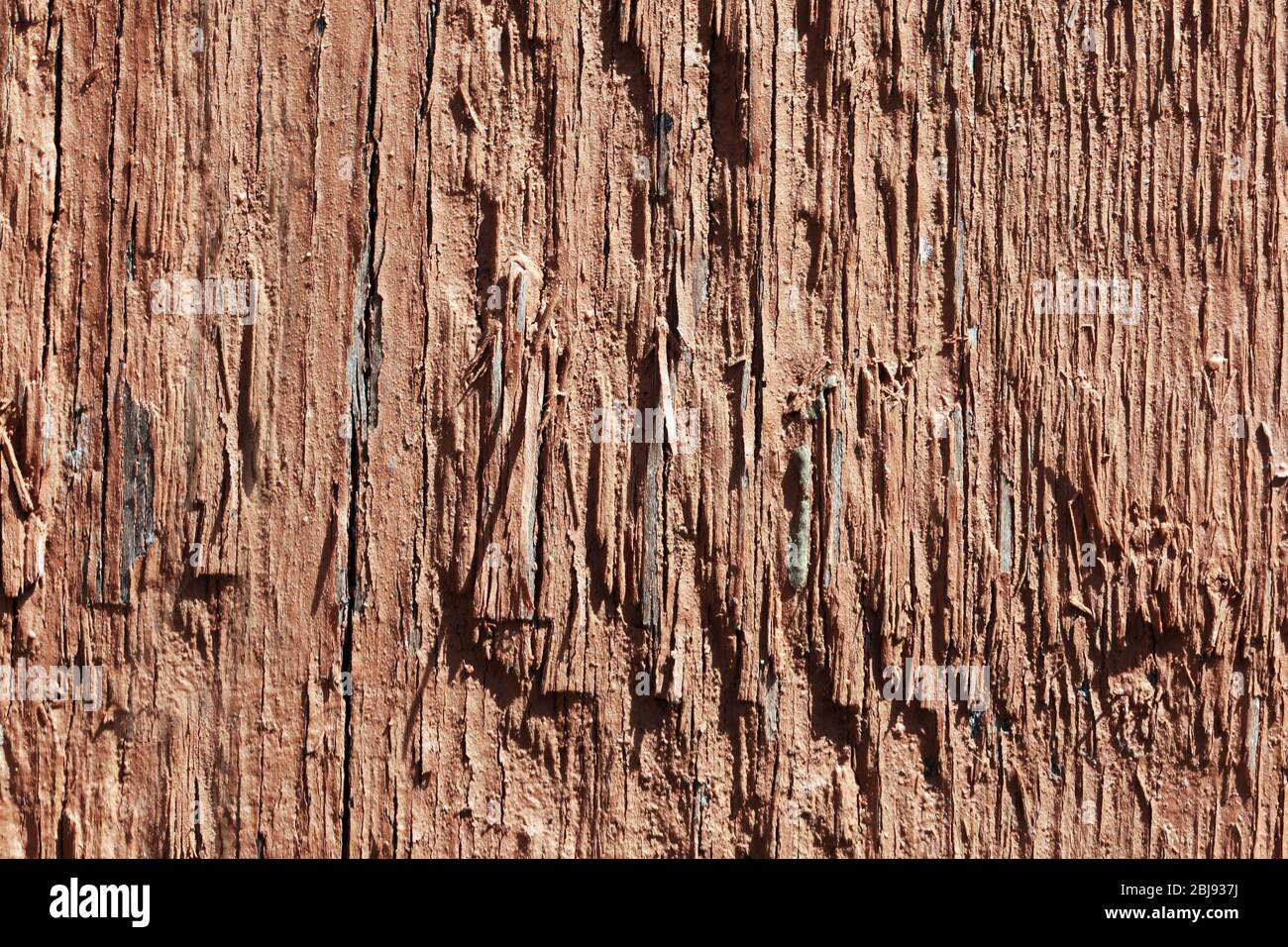Wood tree texture background Stock Photo - Alamy