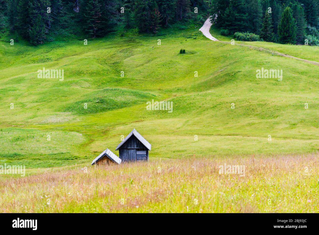 Prato Piazza in the Braies Valley. Plateau nestled in the Dolomites ...