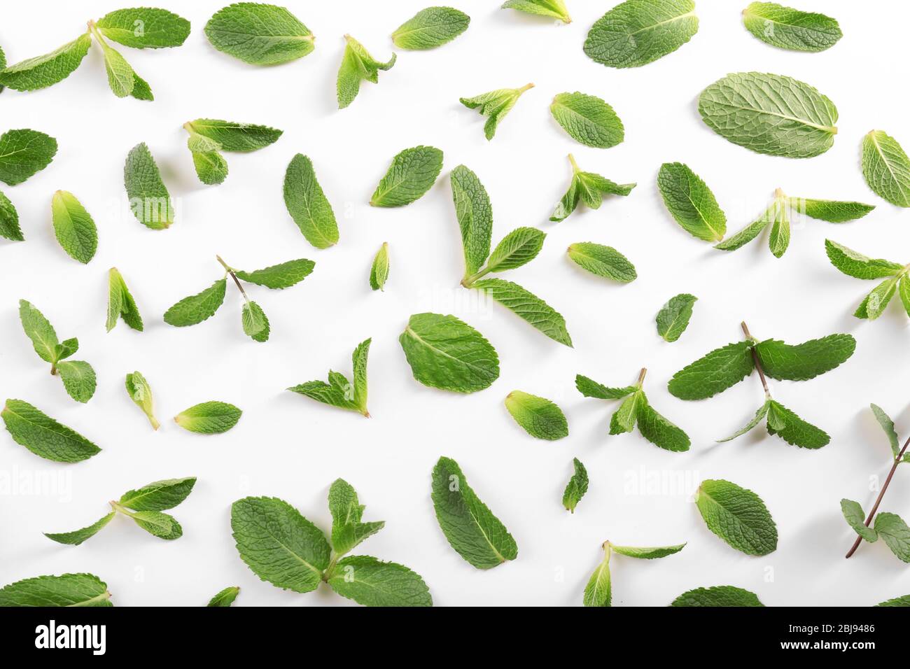 Fresh mint leaves pattern, top view Stock Photo - Alamy
