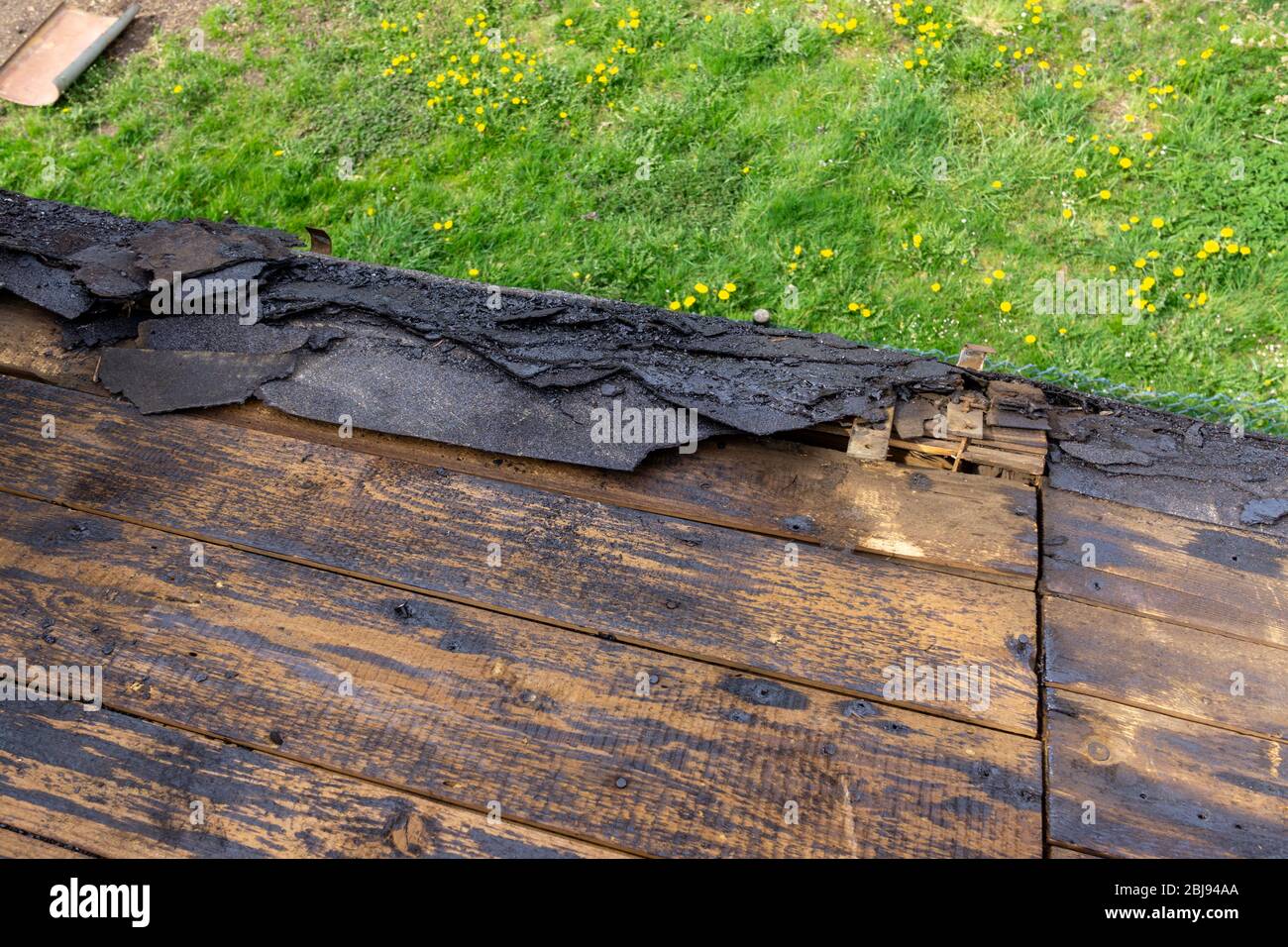 broken roof, partially removed roofing felt Stock Photo - Alamy