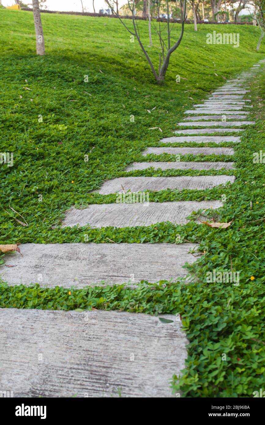 pattern of square cement floor tiles with green grass blackground Stock ...