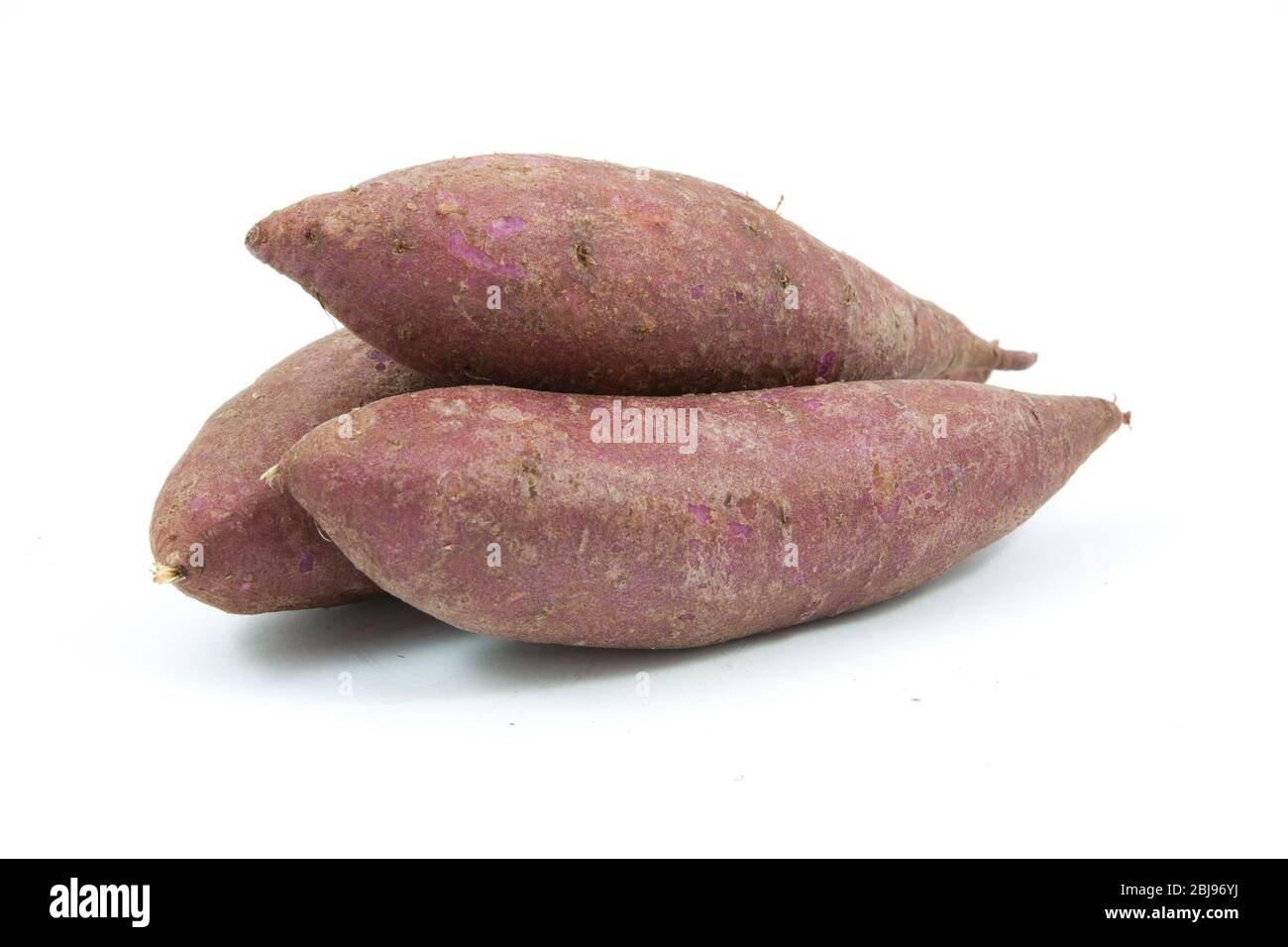 tapioca plants cassava closeup isolated on white background Stock Photo ...