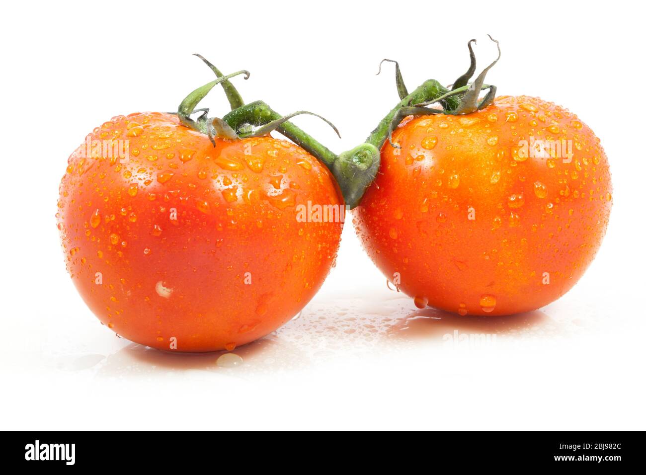 Four tomatoes on plant Cut Out Stock Images & Pictures - Alamy