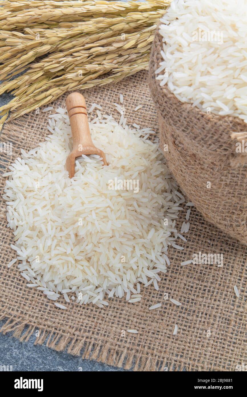 thai fragrant jasmine rice in a spoon with gold spike on Sack Stock ...