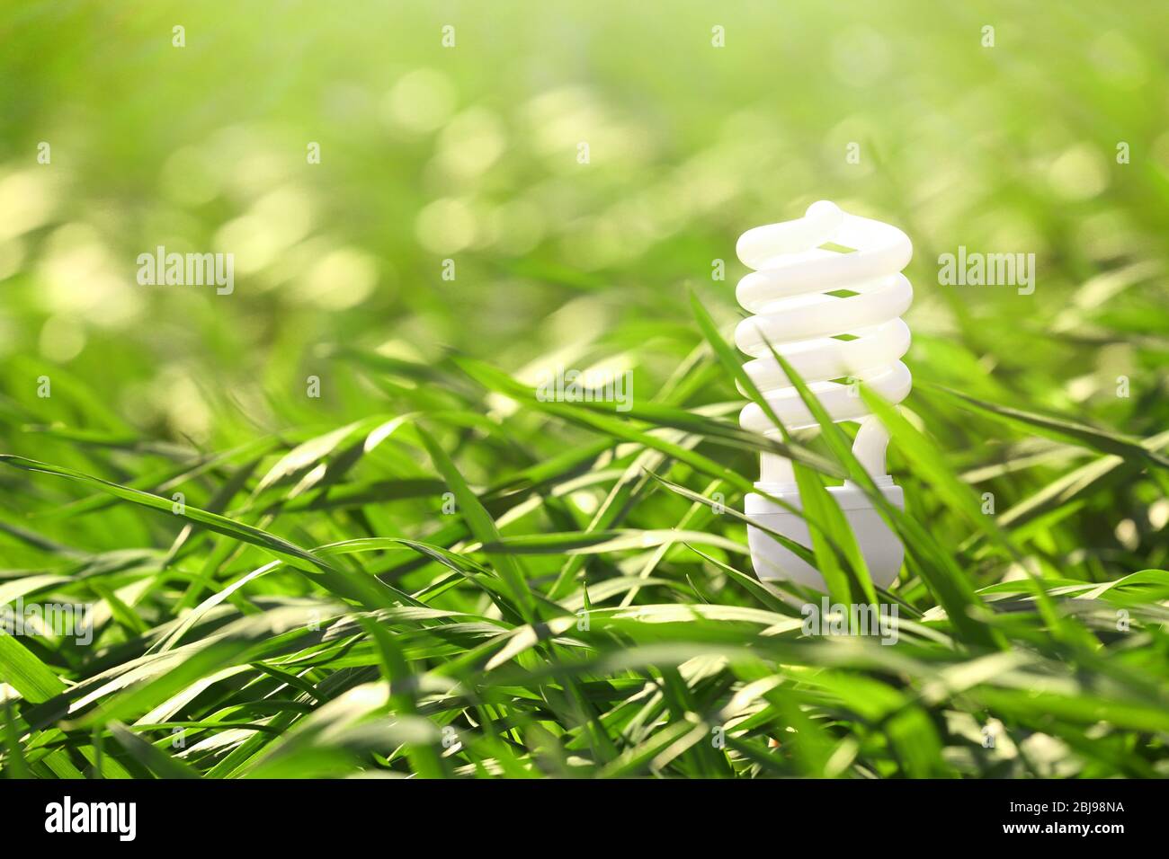 Light bulb on the wheat field Stock Photo - Alamy