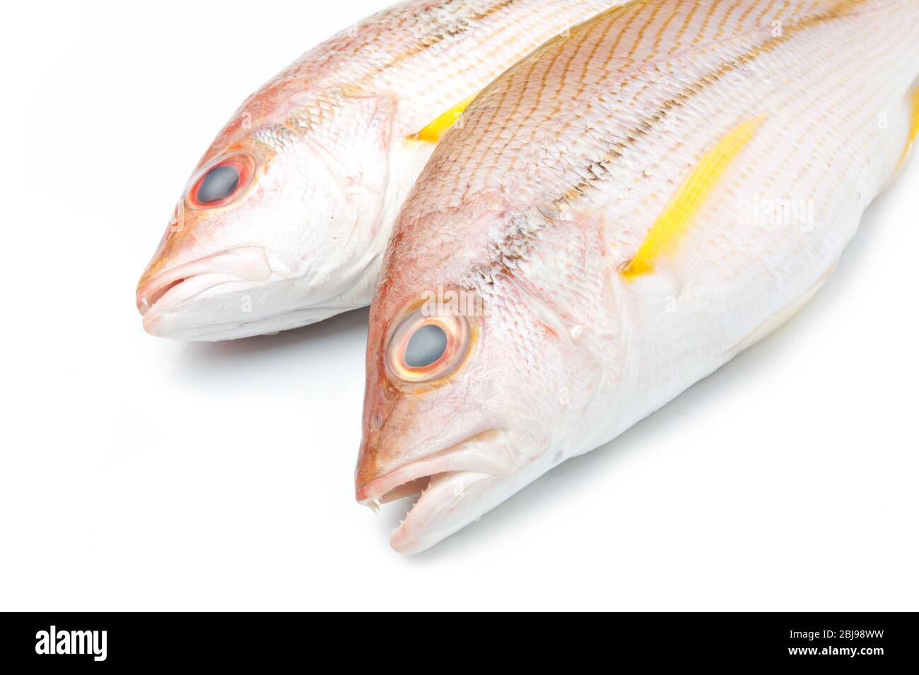 delicious portion of fresh fish isolated on white Stock Photo - Alamy