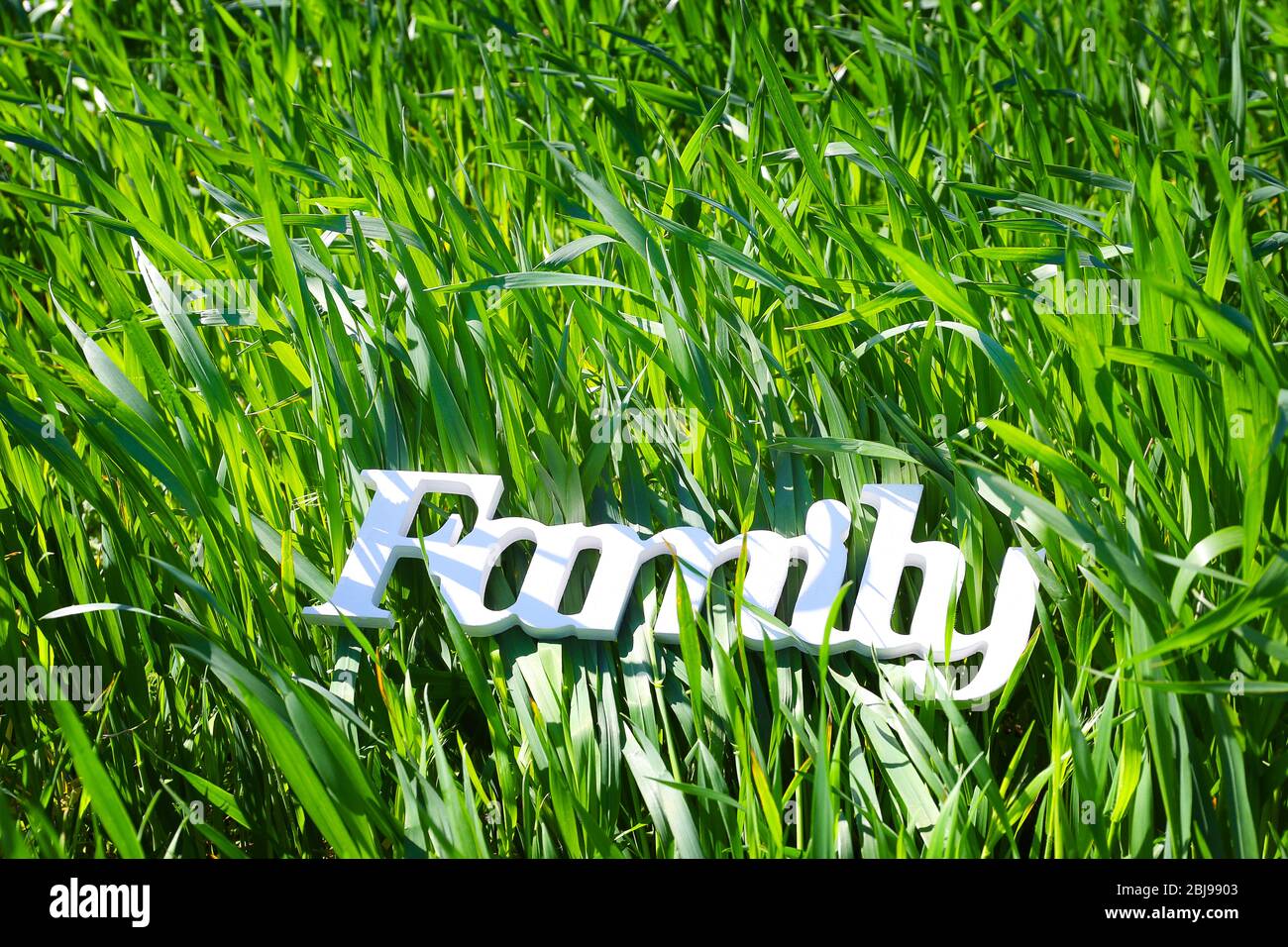 Wheat crops with word family, close up Stock Photo - Alamy