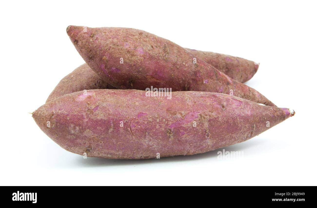 tapioca plants cassava closeup isolated on white background Stock Photo ...