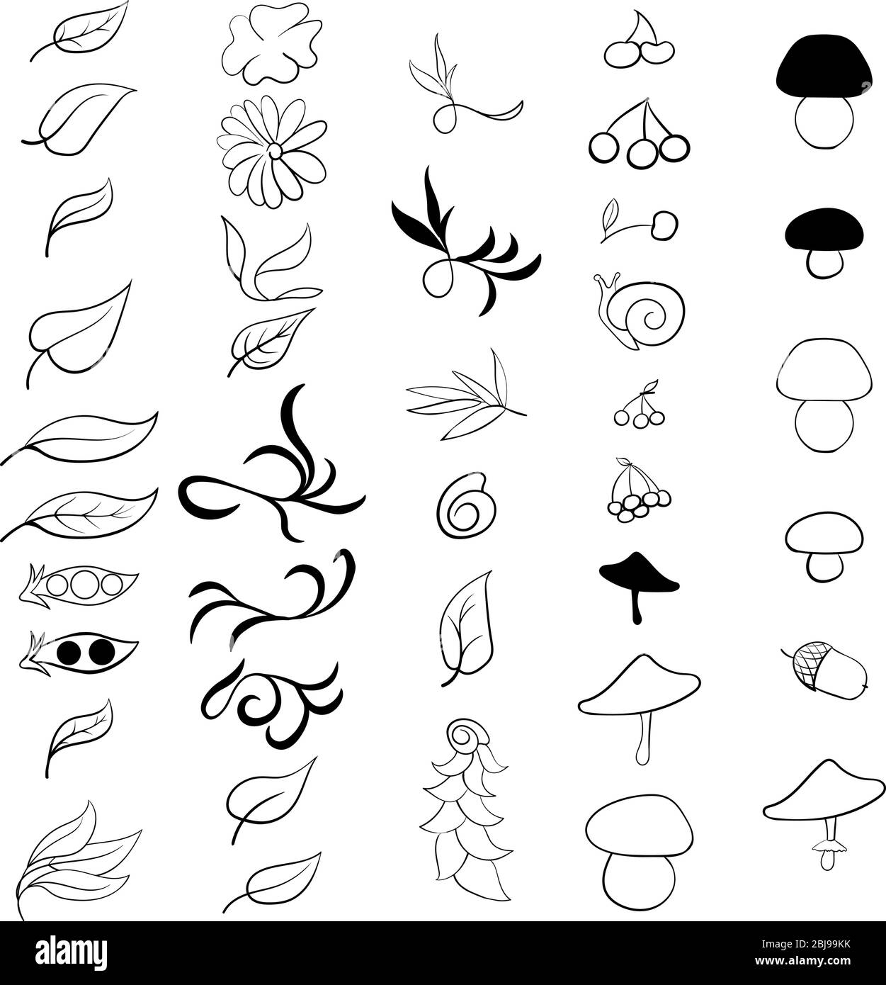 set of hand drawn natural elements. leaves and mushrooms isolated on ...