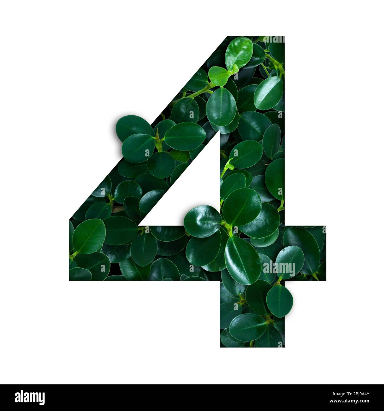 Nature concept alphabet of green leaves in number four shape Stock ...