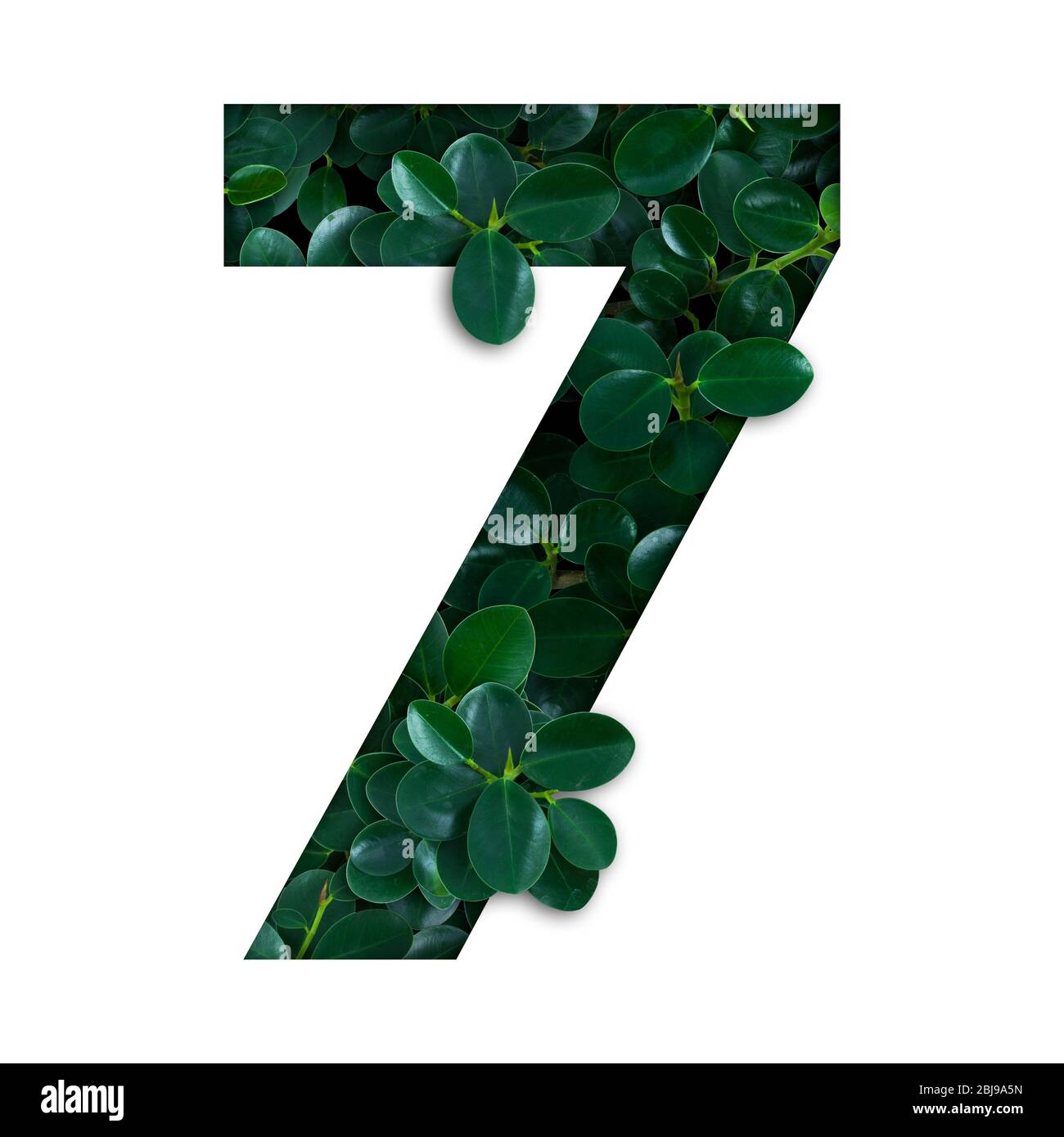 Nature concept alphabet of green leaves in number seven shape Stock ...