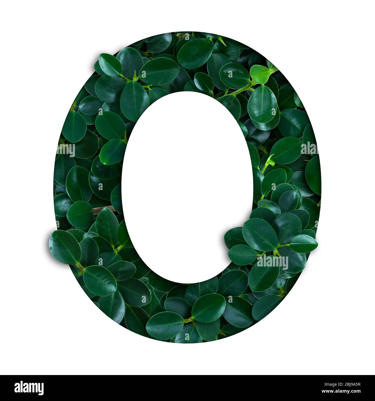 Nature concept alphabet of green leaves in number zero shape Stock ...