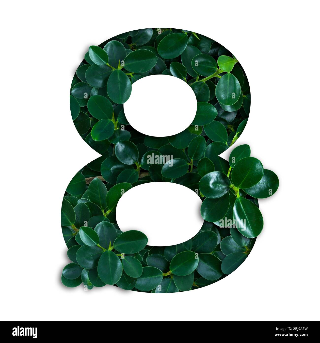 Nature concept alphabet of green leaves in number eight shape Stock ...