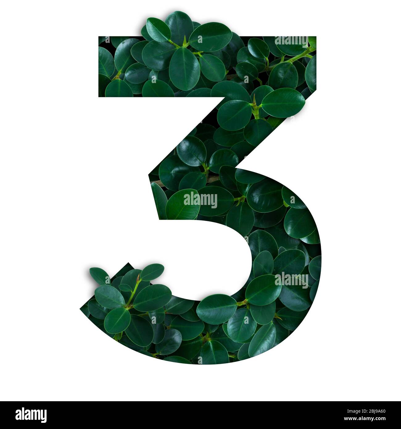 Nature concept alphabet of green leaves in number three shape Stock ...