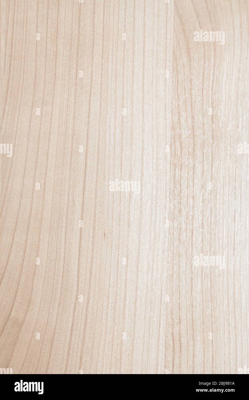 High resolution blonde wood texture Stock Photo - Alamy