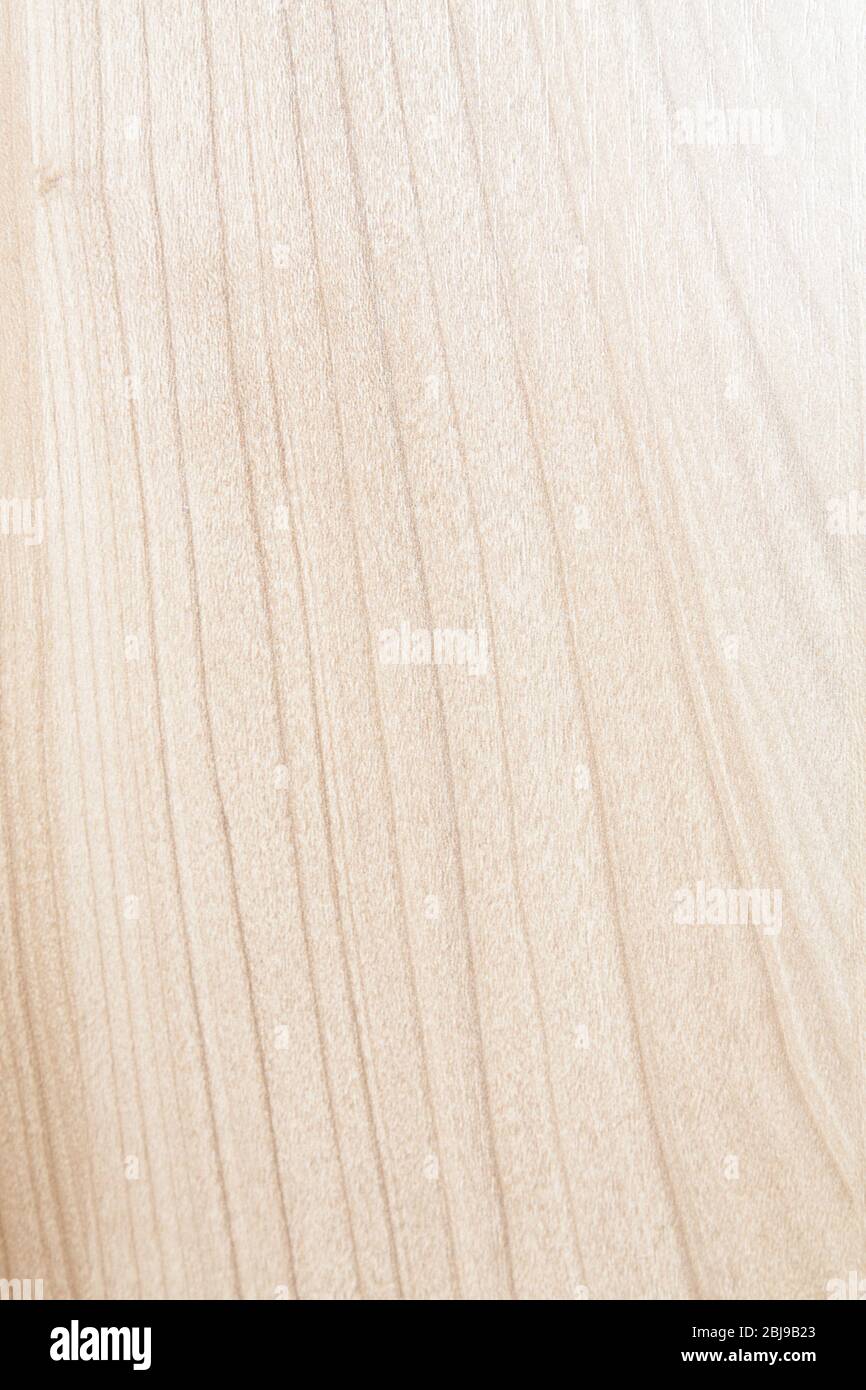 High resolution blonde wood texture Stock Photo - Alamy