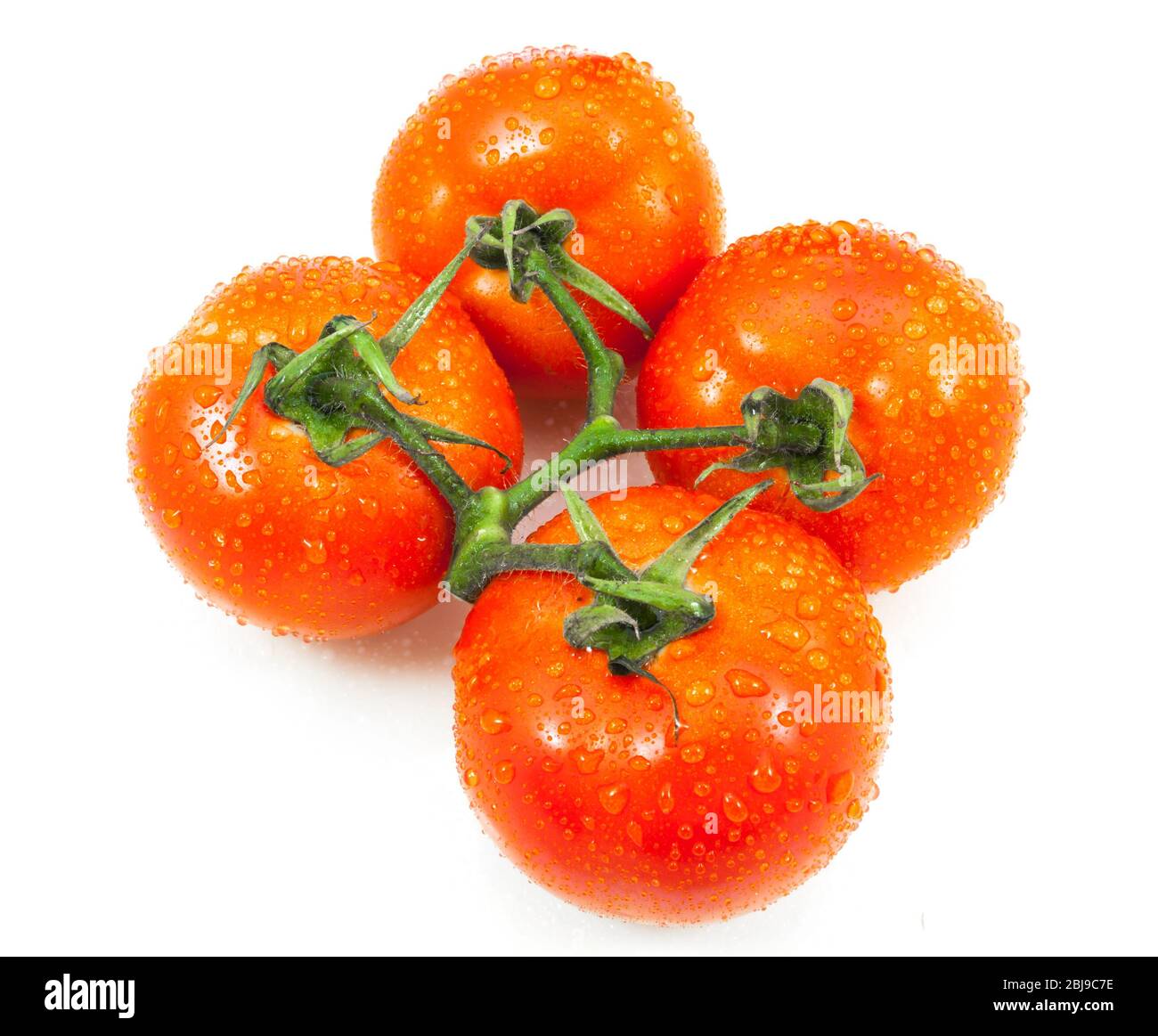 Four tomatoes on plant Cut Out Stock Images & Pictures - Alamy